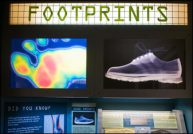 Crime Scene Investigation - Crime Museum